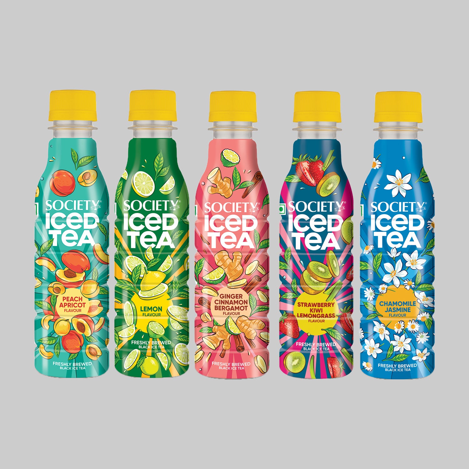 Assorted Iced Tea Bottles – Pack of 5 | Society Tea RTD