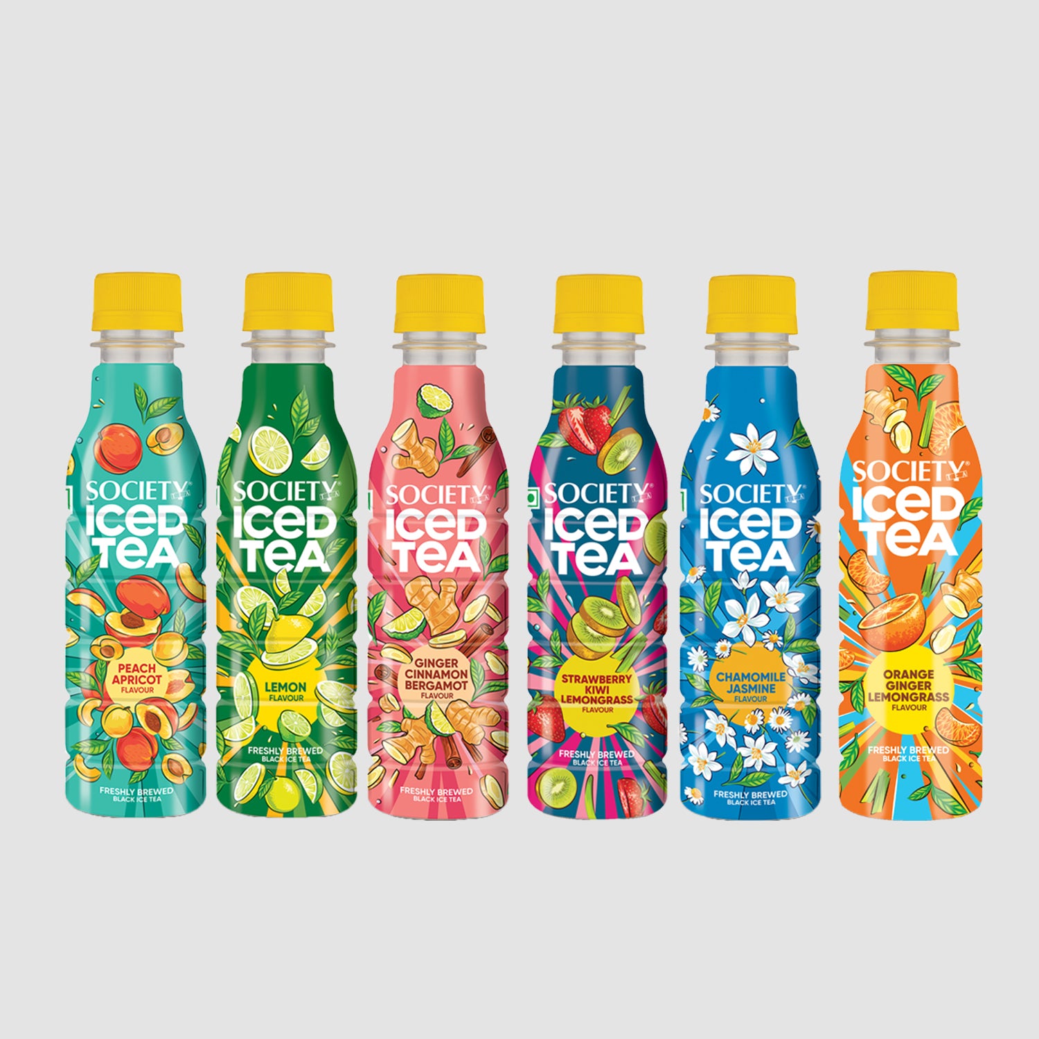 Society Iced Tea bottles Assorted 250ml - Pack of 6 – Society Tea