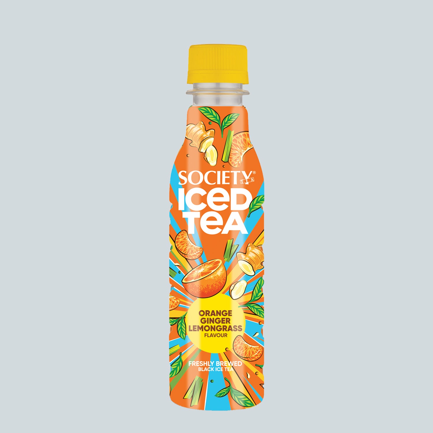SOCIETY ICED TEA BOTTLE ORANGE GINGER LEMONGRASS FLAVOUR – Society Tea